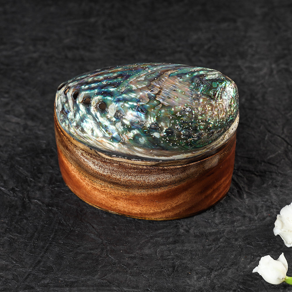 Abalone Seashell Boxes